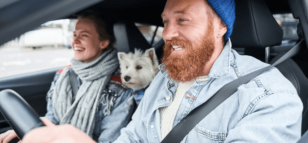 How to Get Cat Pee Smell out of Car Seat: Step-by-Step Guide – autopump